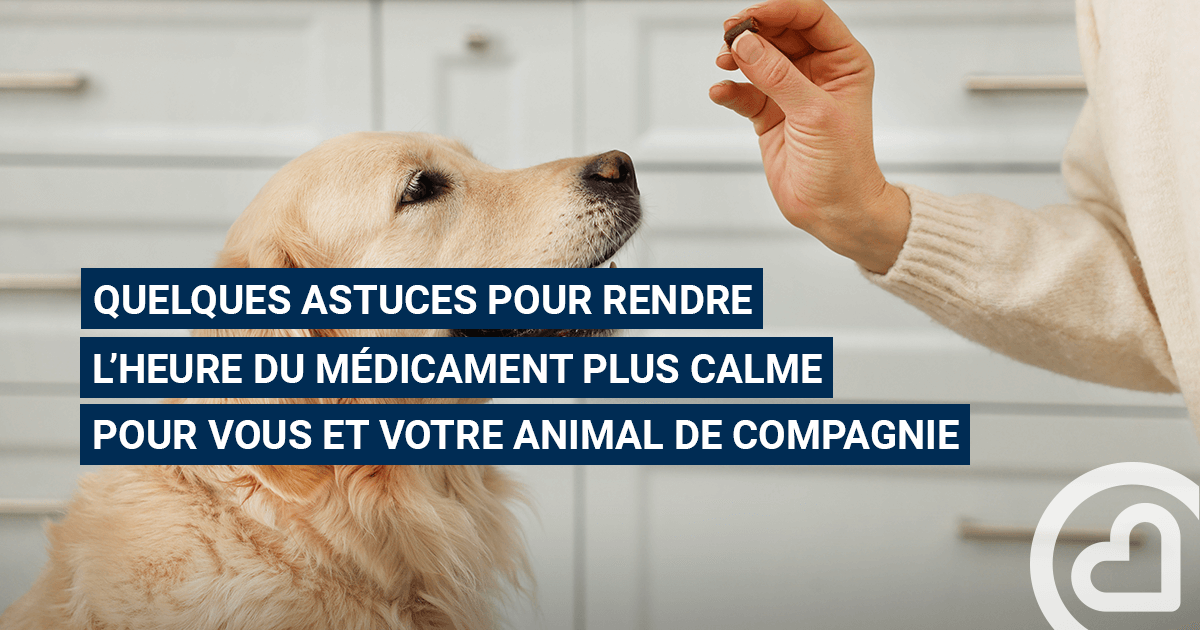 Quelques astuces pour rendre l’heure du médicament plus calme pour vous ...