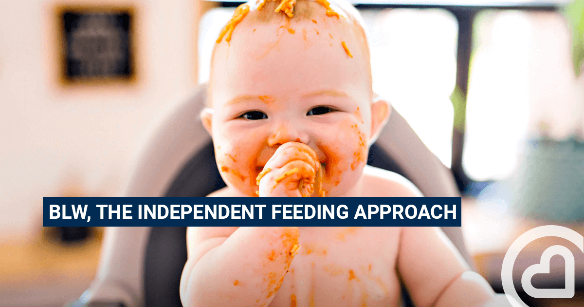 BLW, the independent feeding approach – – Familiprix