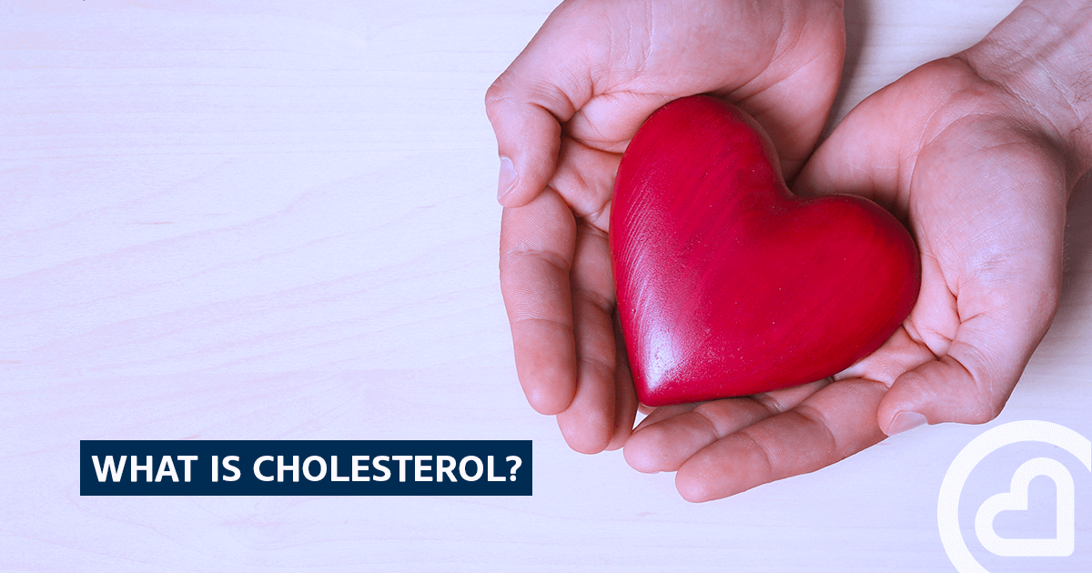 What is cholesterol? – – Familiprix