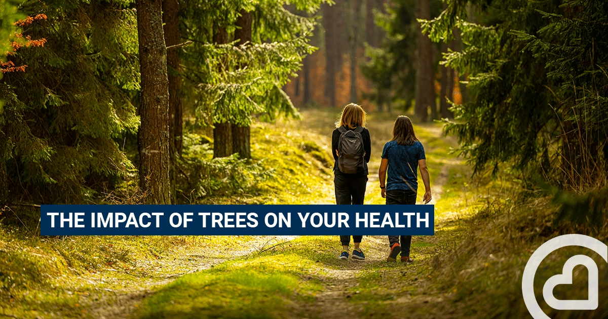 The impact of trees on your health – – Familiprix