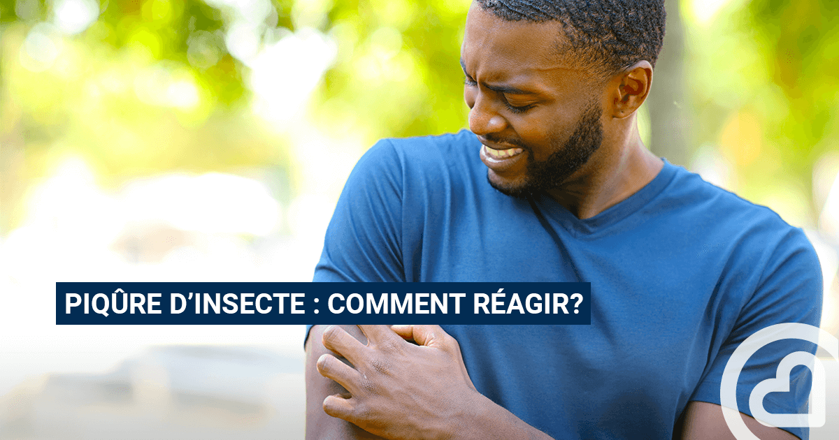 Piqûre d’insecte : comment réagir? – Familiprix