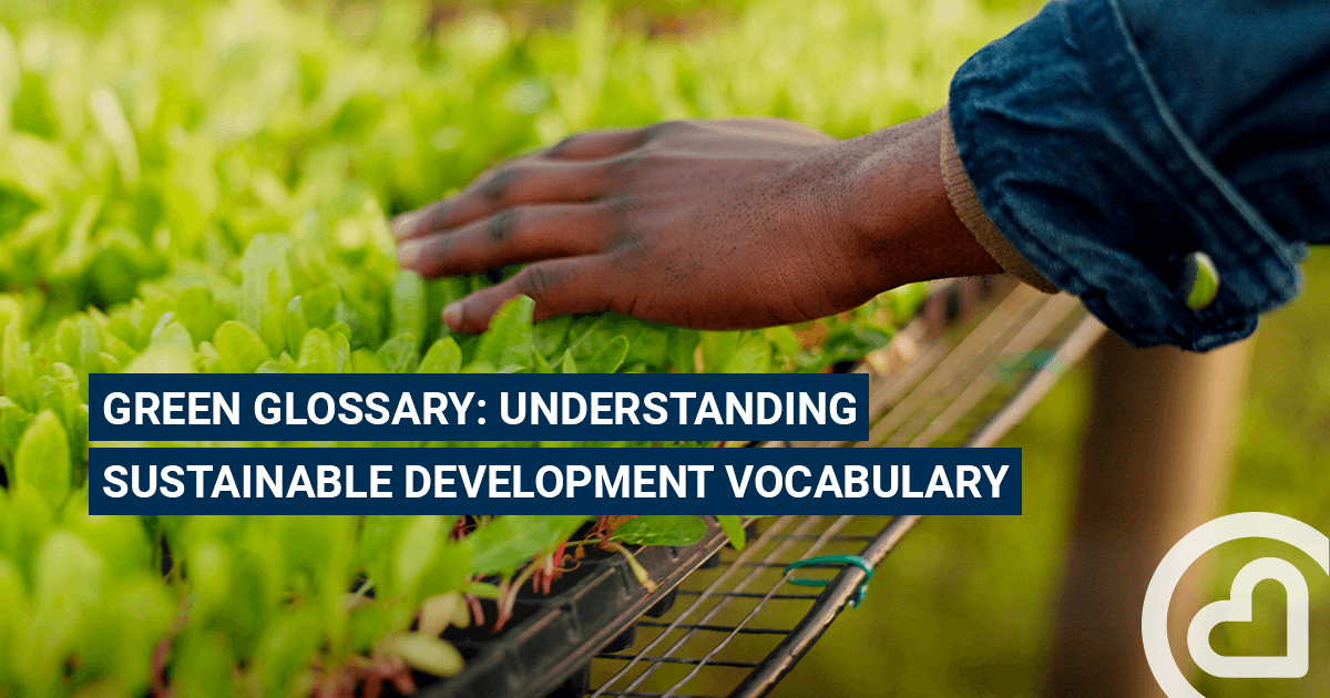 Green glossary: Understanding sustainable development vocabulary ...
