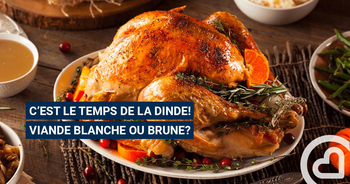 C’est le temps de la dinde! Viande blanche ou brune? – Familiprix